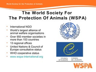 Presentation at the UN | PPT