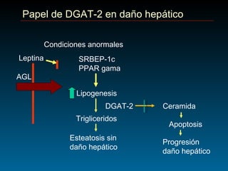 Dislipidemia del síndrome metabólico | PPT