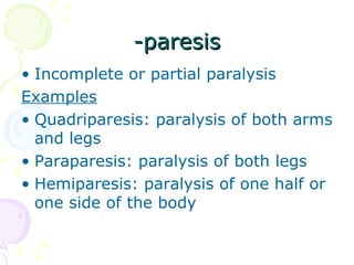 Suffixes In The Nervous System | PPT | Brain and Nervous System ...