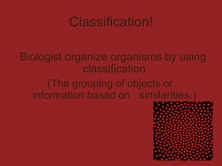 Biology presentation. | PPTX