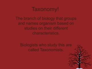 Biology presentation. | PPTX