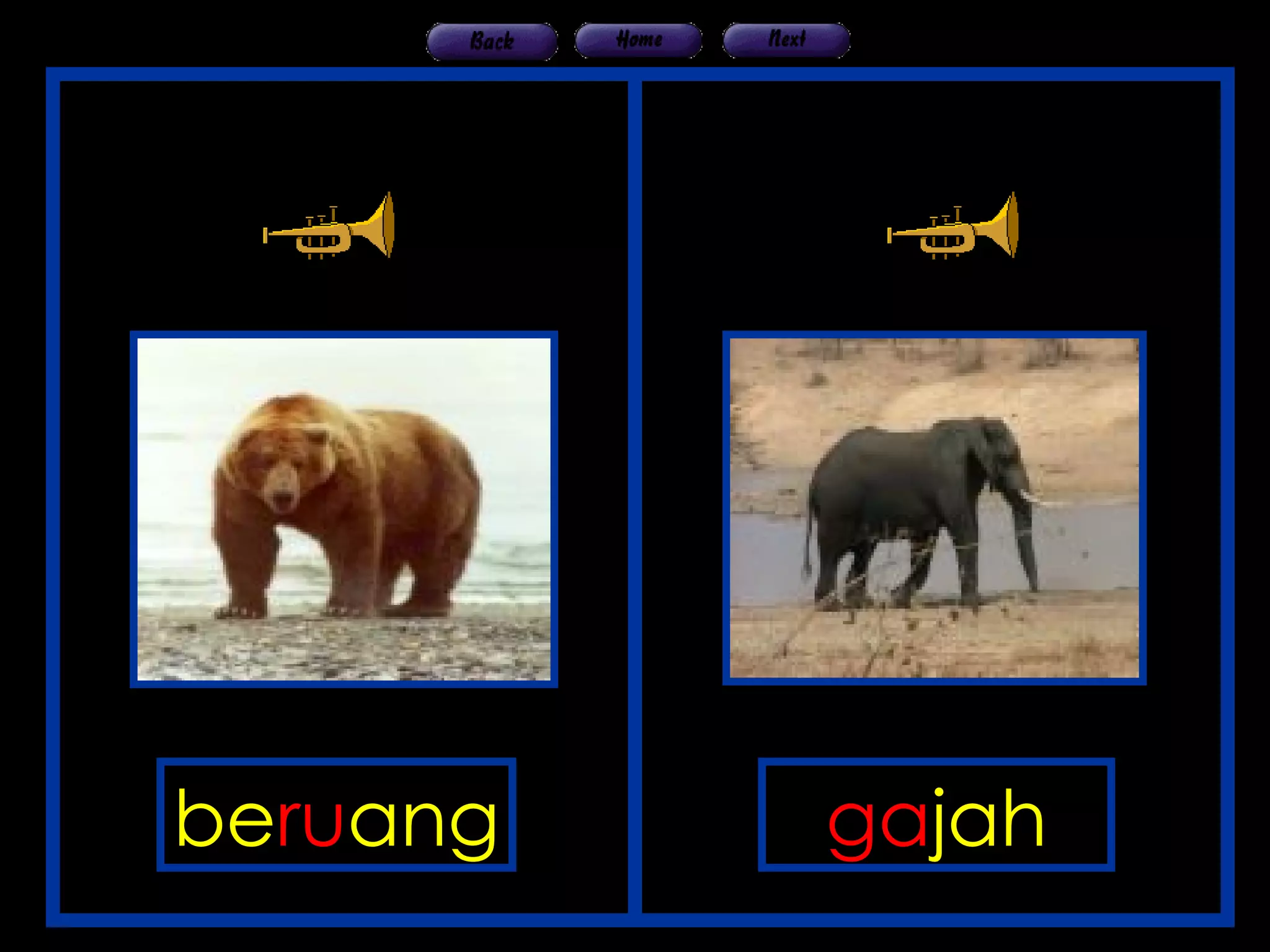 HAIWAN DAN BUNYI | PPT