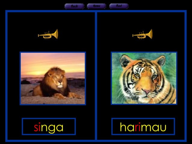 HAIWAN DAN BUNYI | PPT