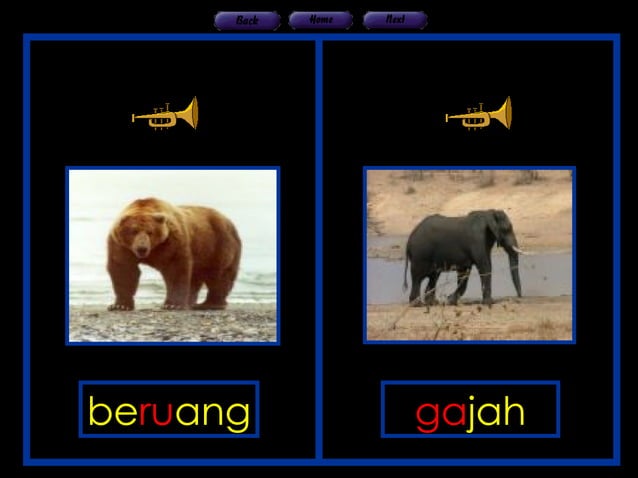 HAIWAN DAN BUNYI | PPT