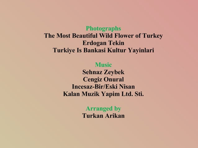 The Most Beautiful Wild Flowers of Turkey 1-B.pps