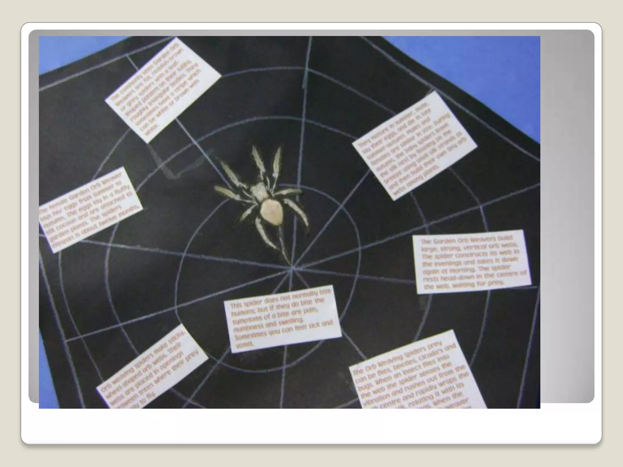 Spider Research Projects | PPTX