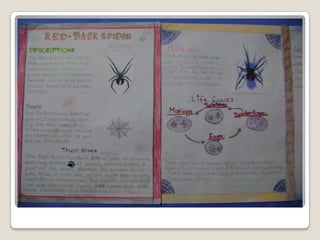 Spider Research Projects | PPTX