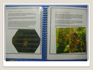 Spider Research Projects | PPTX