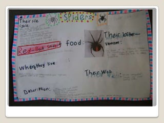 Spider Research Projects | PPTX