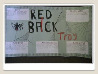 Spider Research Projects | PPTX