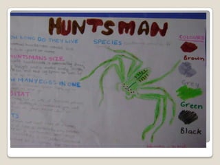 Spider Research Projects | PPTX