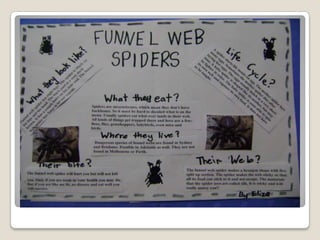 Spider Research Projects | PPTX
