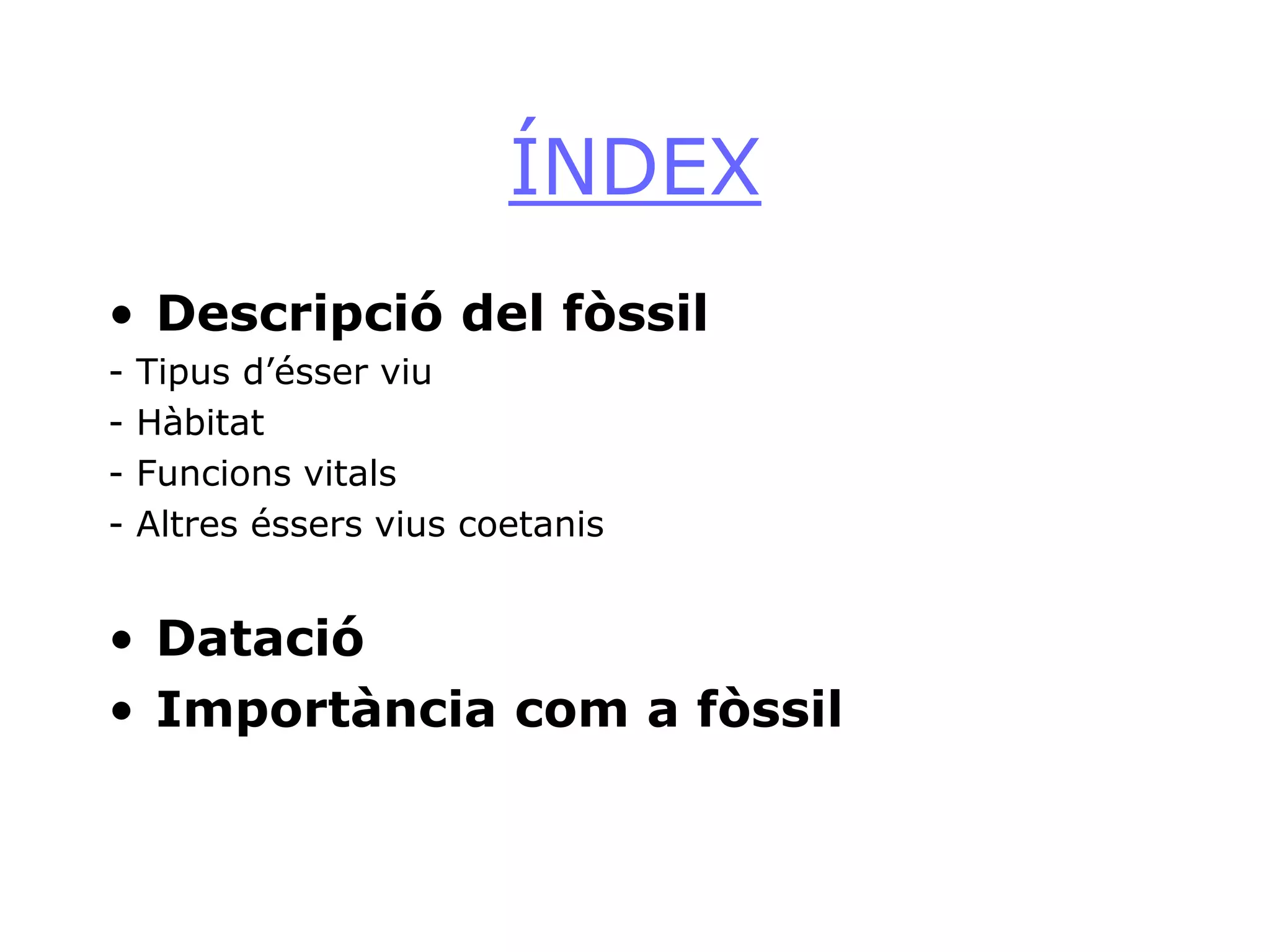 C:\users\user\documents\mis archivos recibidos\fossils | PPT