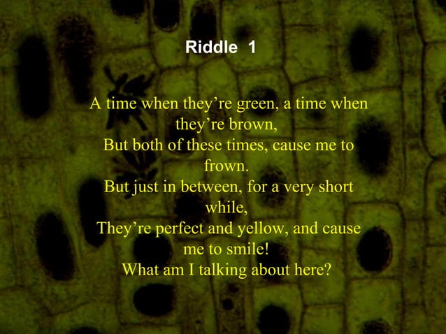 10 Tricky Riddles For The Young | PPT