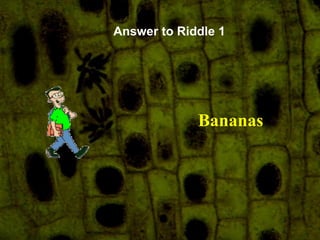 10 Tricky Riddles For The Young | PPT