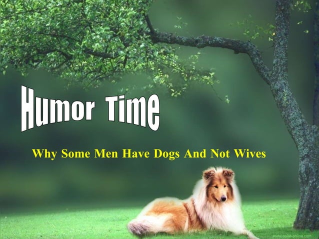 Humor Time...Why Some Men Have Dogs And Not Wives | PPS | Dogs | Pets