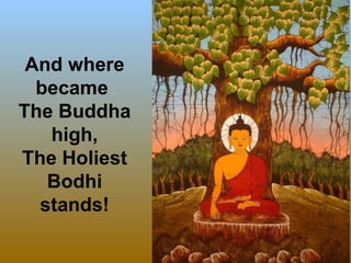 The Bodhi Tree...A Song of Inspiration | PPT