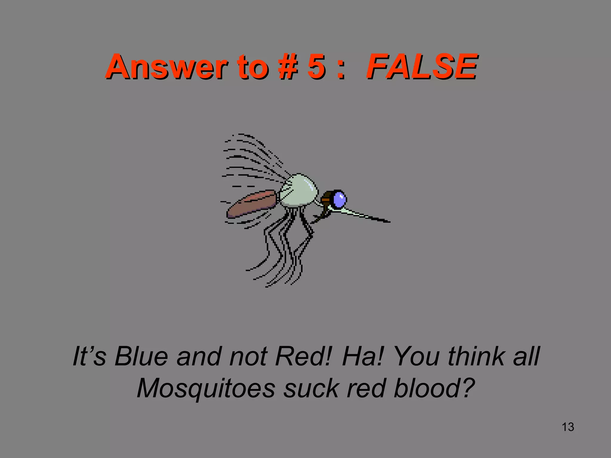 The Fun Freaky Facts QUIZ On Animals | PPT