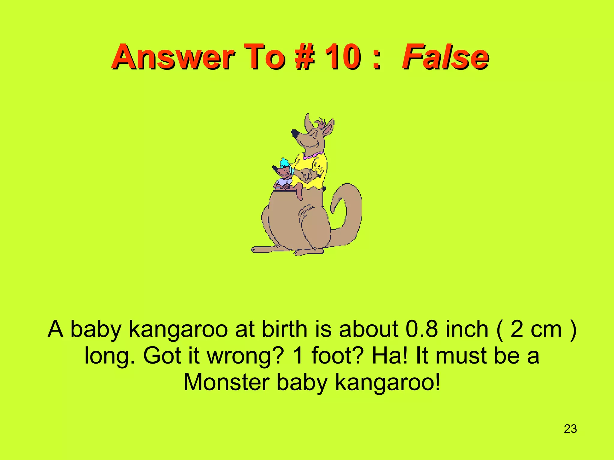 The Fun Freaky Facts QUIZ On Animals | PPT