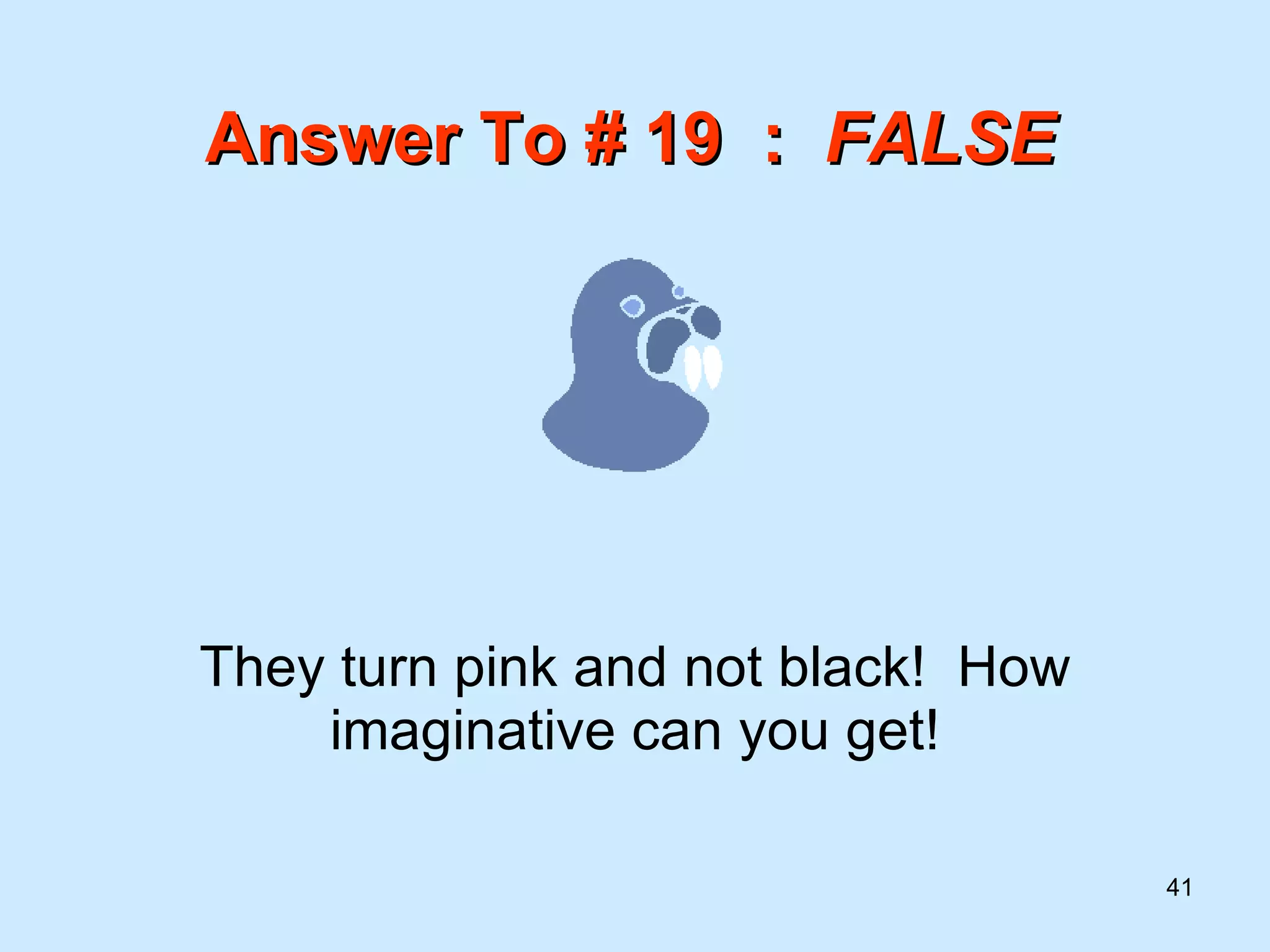 The Fun Freaky Facts QUIZ On Animals | PPT