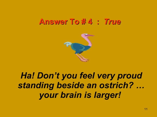 The Fun Freaky Facts QUIZ On Animals | PPT | Large Animals | Pets