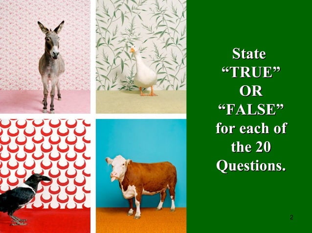 The Fun Freaky Facts QUIZ On Animals | PPT | Large Animals | Pets