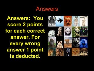 The Fun Freaky Facts QUIZ On Animals | PPT
