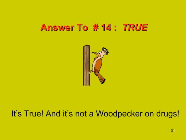 The Fun Freaky Facts QUIZ On Animals | PPT | Large Animals | Pets