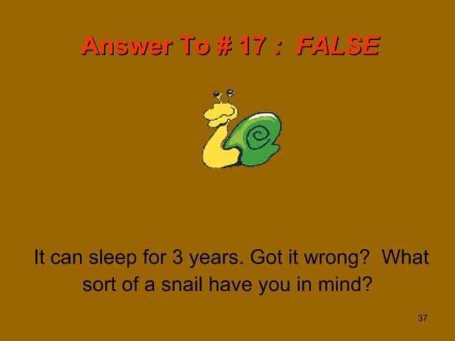 The Fun Freaky Facts QUIZ On Animals | PPT | Large Animals | Pets