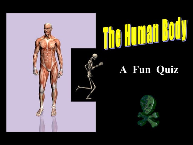 The Human Body A Fun Quiz Ppt