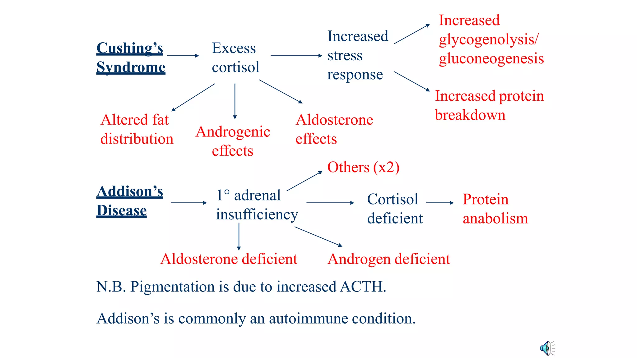 CUSHING + ADDISON.pptx