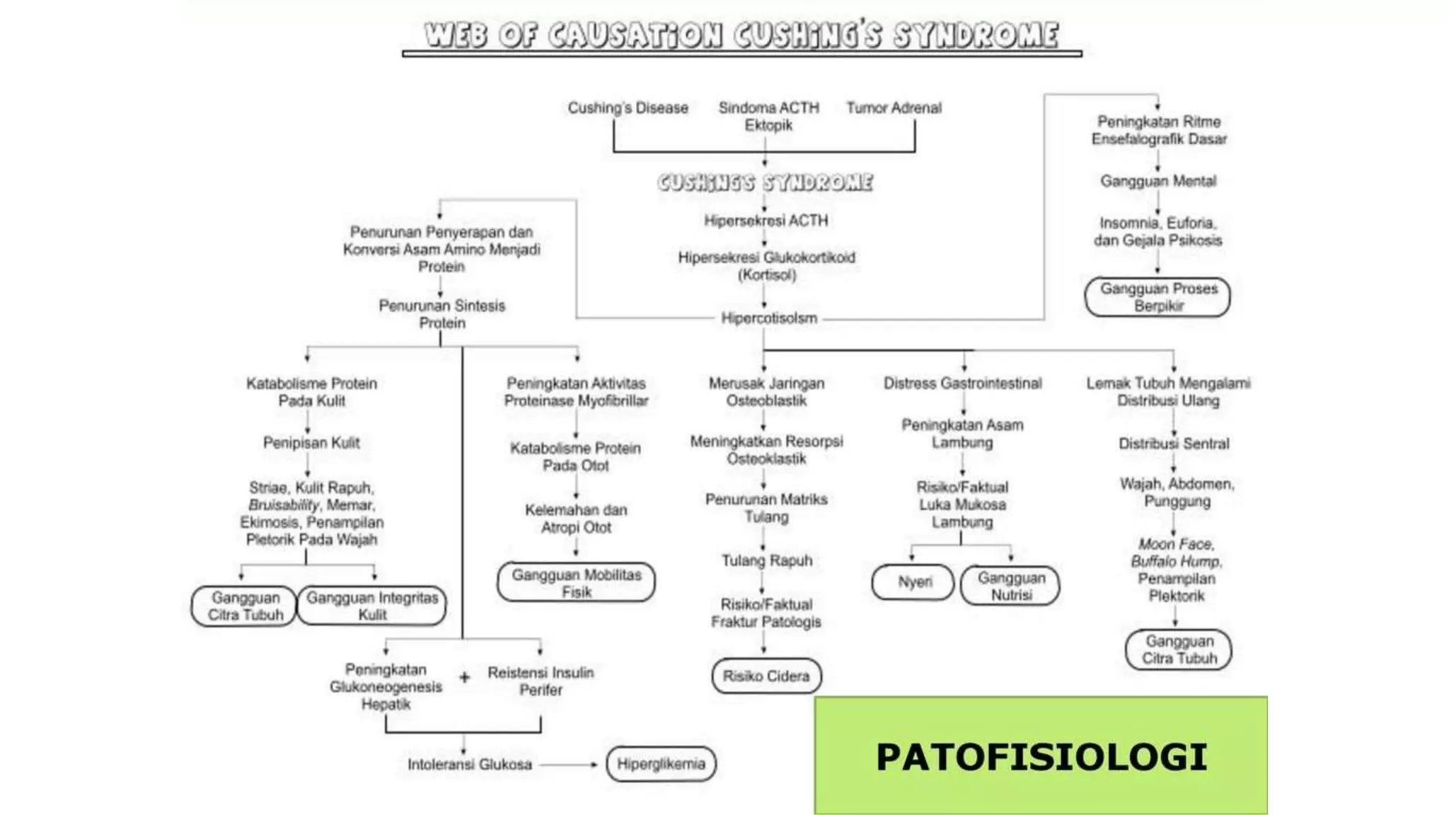 CUSHING + ADDISON.pptx