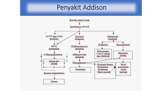 CUSHING + ADDISON.pptx