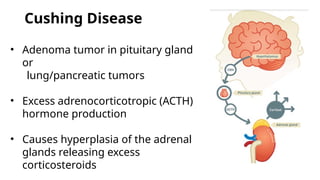 Cushing syndrome and Addison disease Nursing Lesson 2025 | PPTX