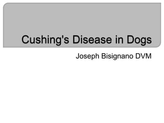 Cushing's Disease in Dogs | PPTX