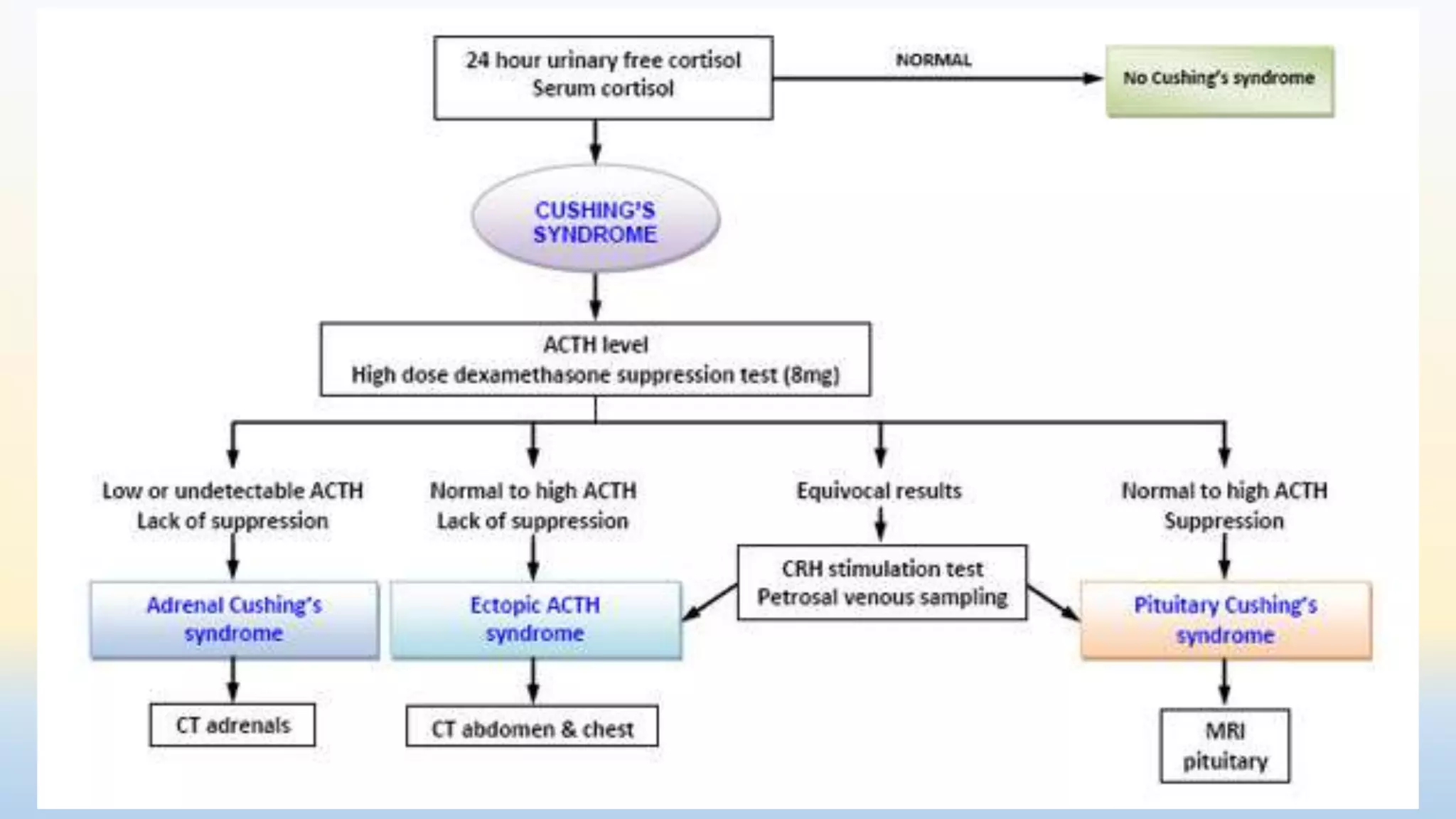 Monitoring Cushing’S | Stages Of Cushingʼs Syndrome In Dogs – ISTB