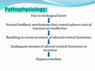 Cushing Syndrome Pathophysiology