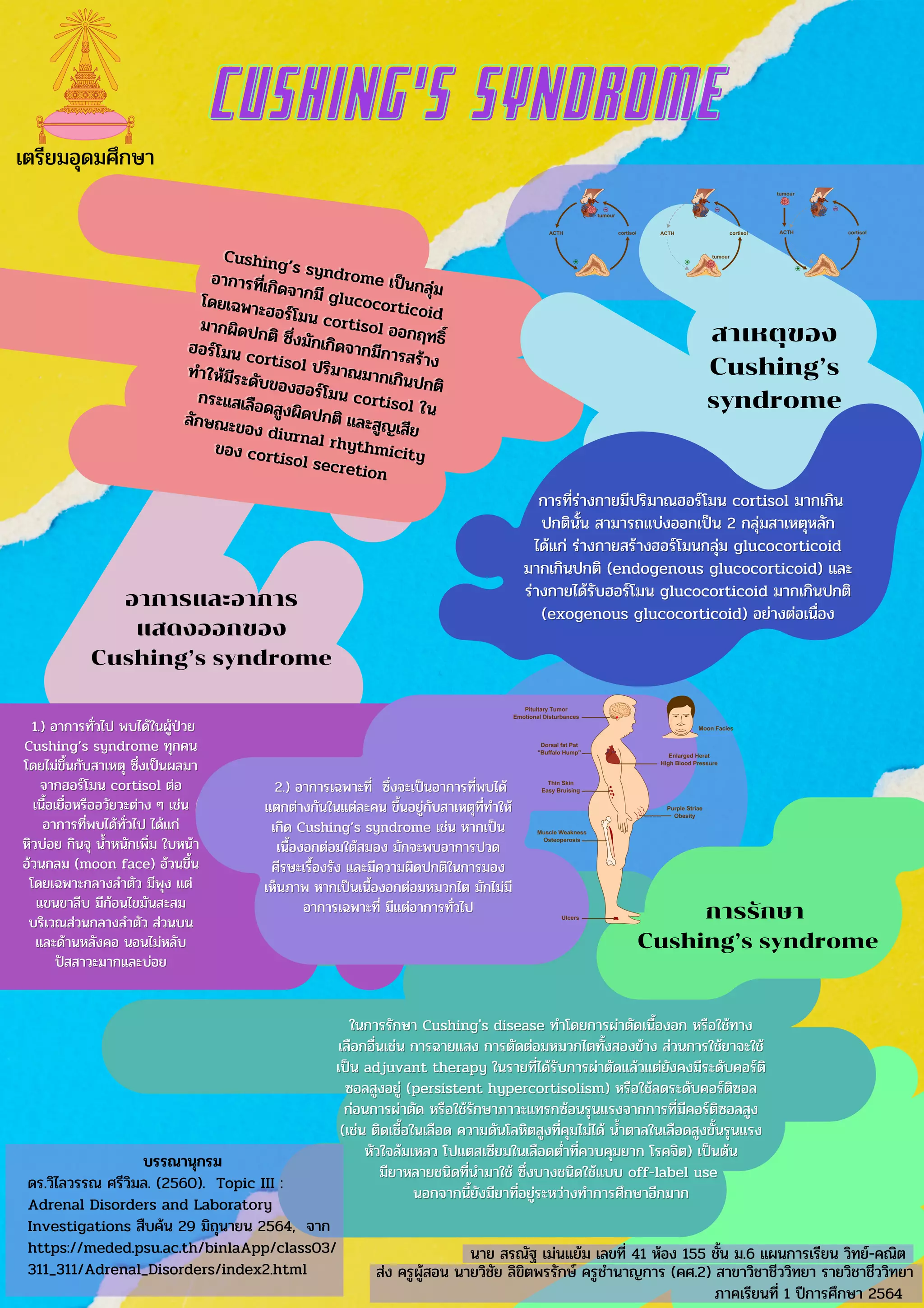 Cushing's syndrome (for1) 41/155 | PDF