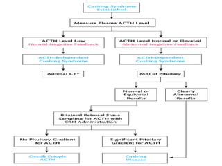Cushing ’s syndrome (1) | PPT