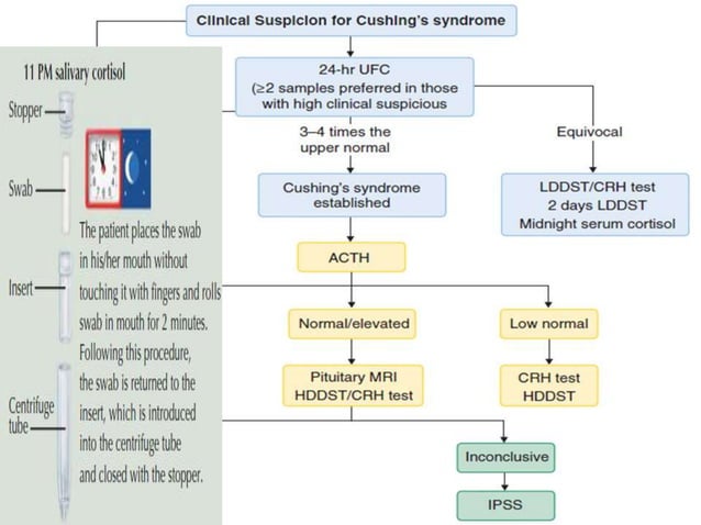 Cushing syndrome | PPTX