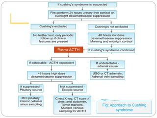 Cushing syndrome | PPTX