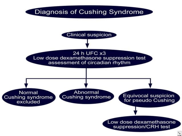 cushing syndrome.ppt