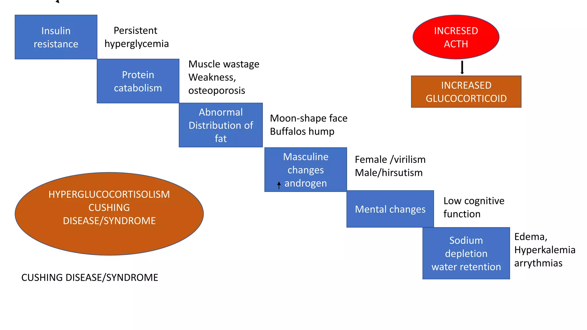 CUSHING SYNDROME.pptx