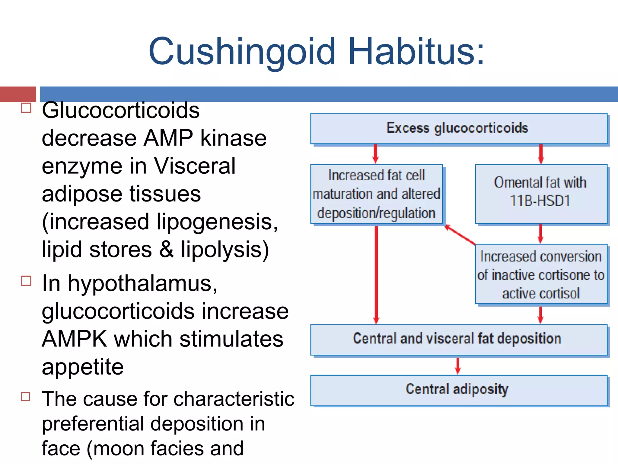 Cushing's Syndrome by Dr. Aryan | PPT | Hormonal Disorders | Endocrine ...