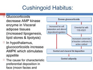 Cushing's Syndrome by Dr. Aryan | PPT | Hormonal Disorders | Endocrine ...