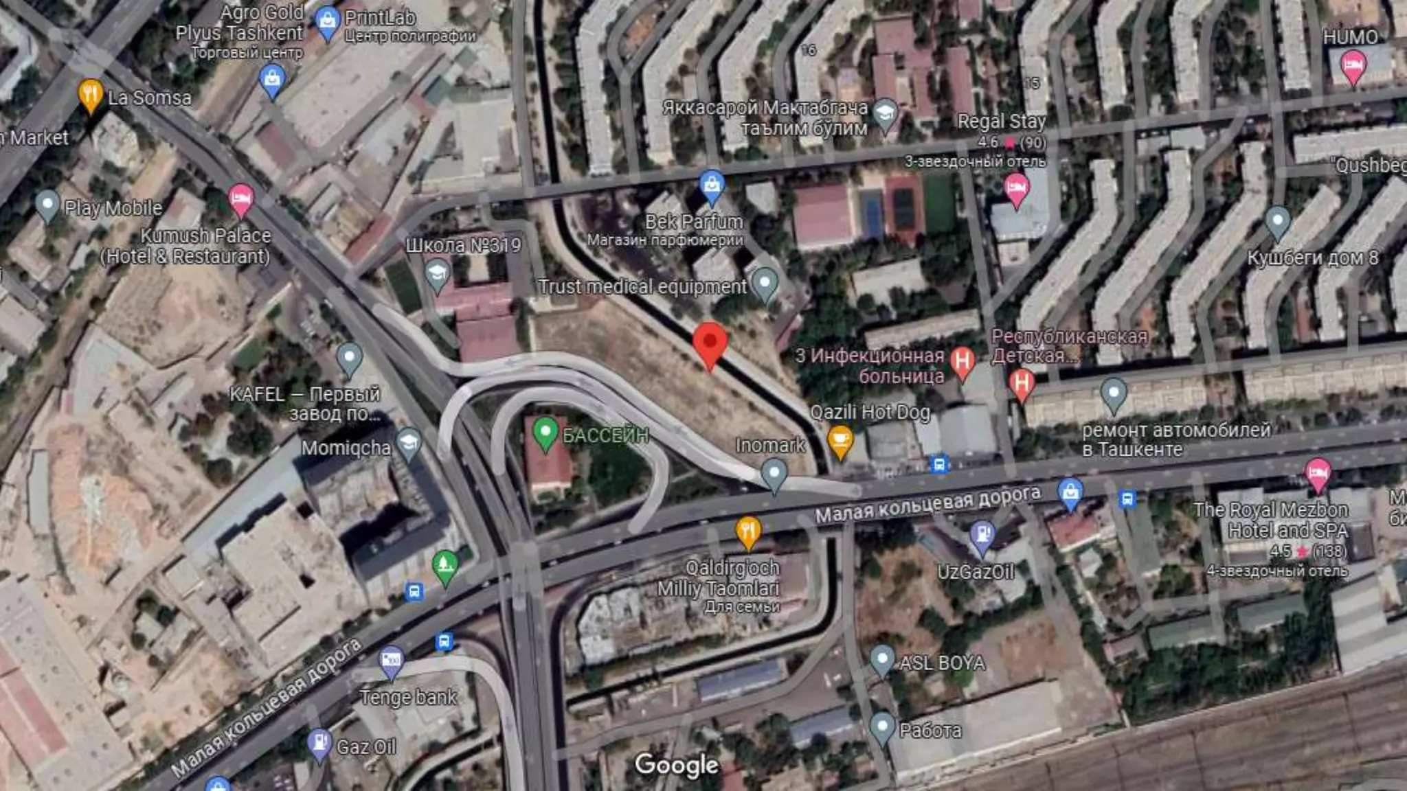 Custal Project Proposal XL by Slidesgo.pptx