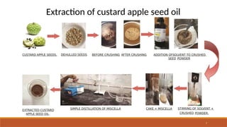 Extraction of custard apple seed oil and it's properties | PPTX