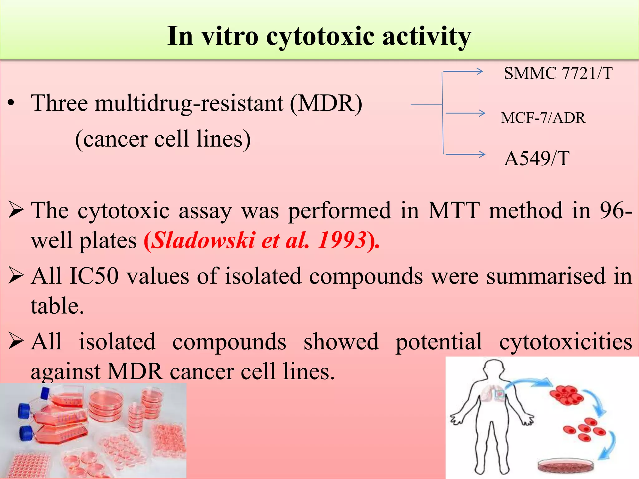 CUSTARD APPLE SEEDS: BIOACTIVE COMPOUNDS, BIOLOGICAL ACTIVITY AND ITS ...