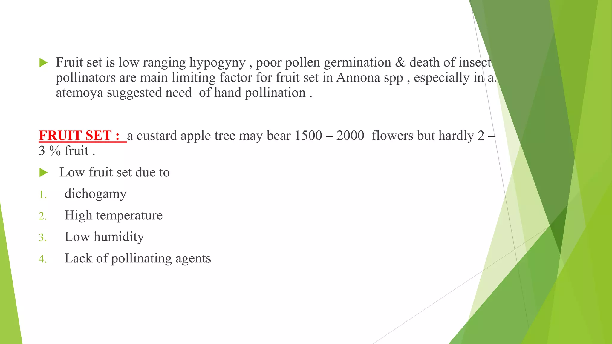 Custard apple by pooja | PPTX