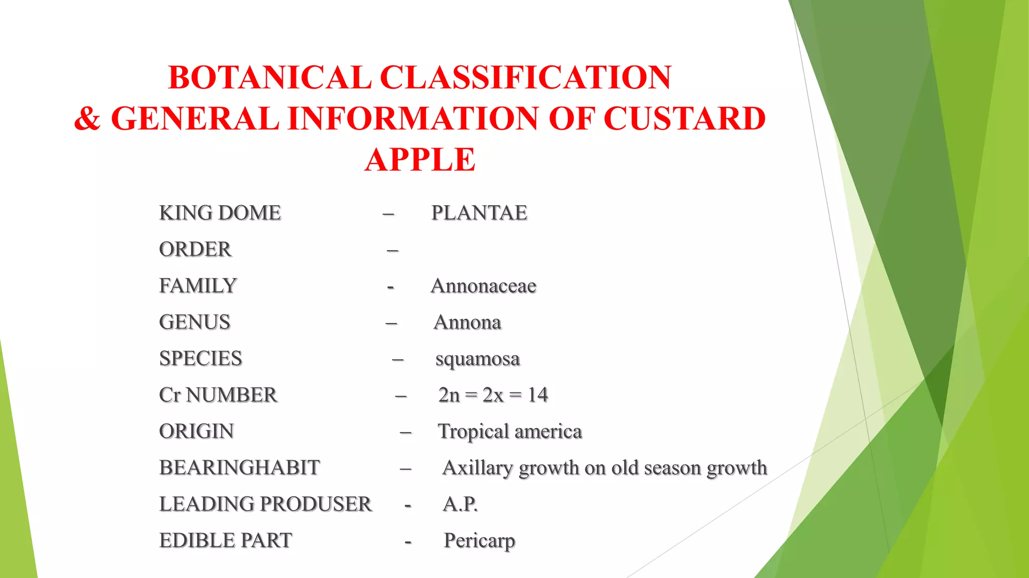 Custard apple by pooja | PPTX